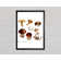 Brambly Cottage Different Types Of Mushrooms - Single Picture Frame Art ...