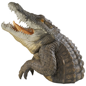 Design Toscano Snapping Swamp Gator Statue & Reviews | Wayfair