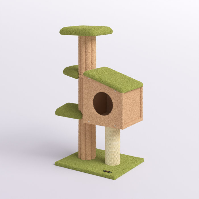 Archie & Oscar™ 43" Timms Cat Tree & Reviews | Wayfair