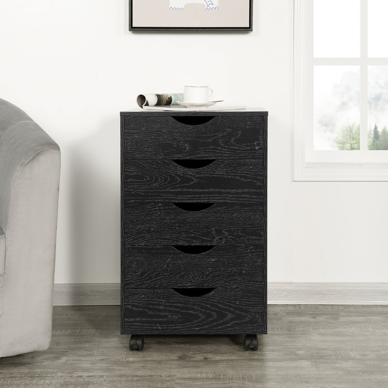 Ebern Designs Bucherie Elegant 5-Drawer Decorative Filing Cabinet on ...
