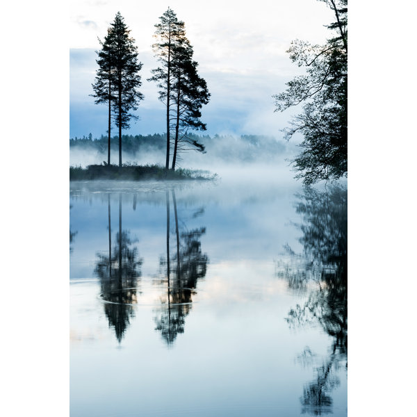 Millwood Pines " Misty Morning " by Imagesbystefan | Wayfair