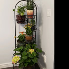 Fleur De Lis Living Bridget Plant Stand & Reviews - Wayfair Canada