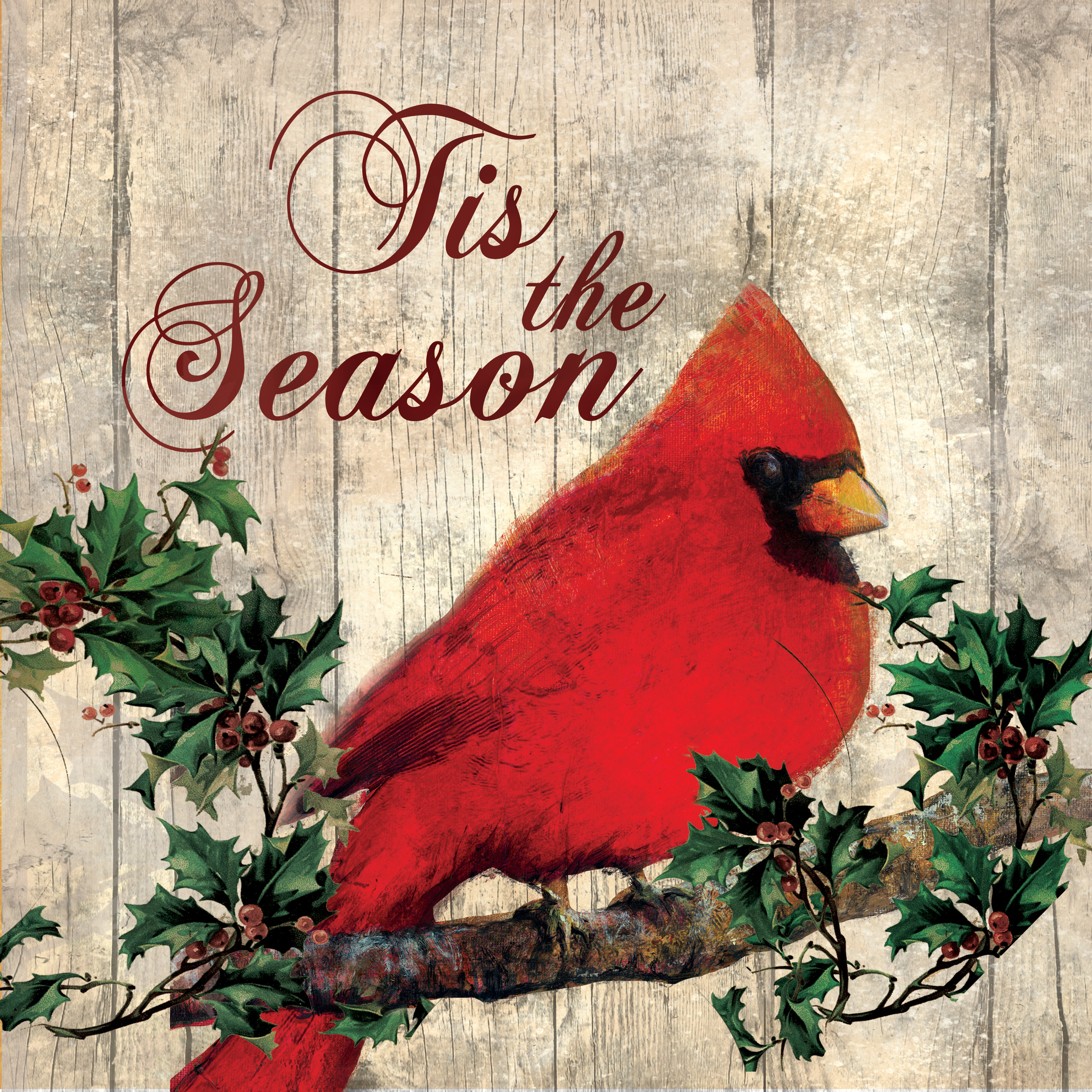 The Seasonal Aisle Tis the Season Cardinal - Wrapped Canvas Graphic Art ...