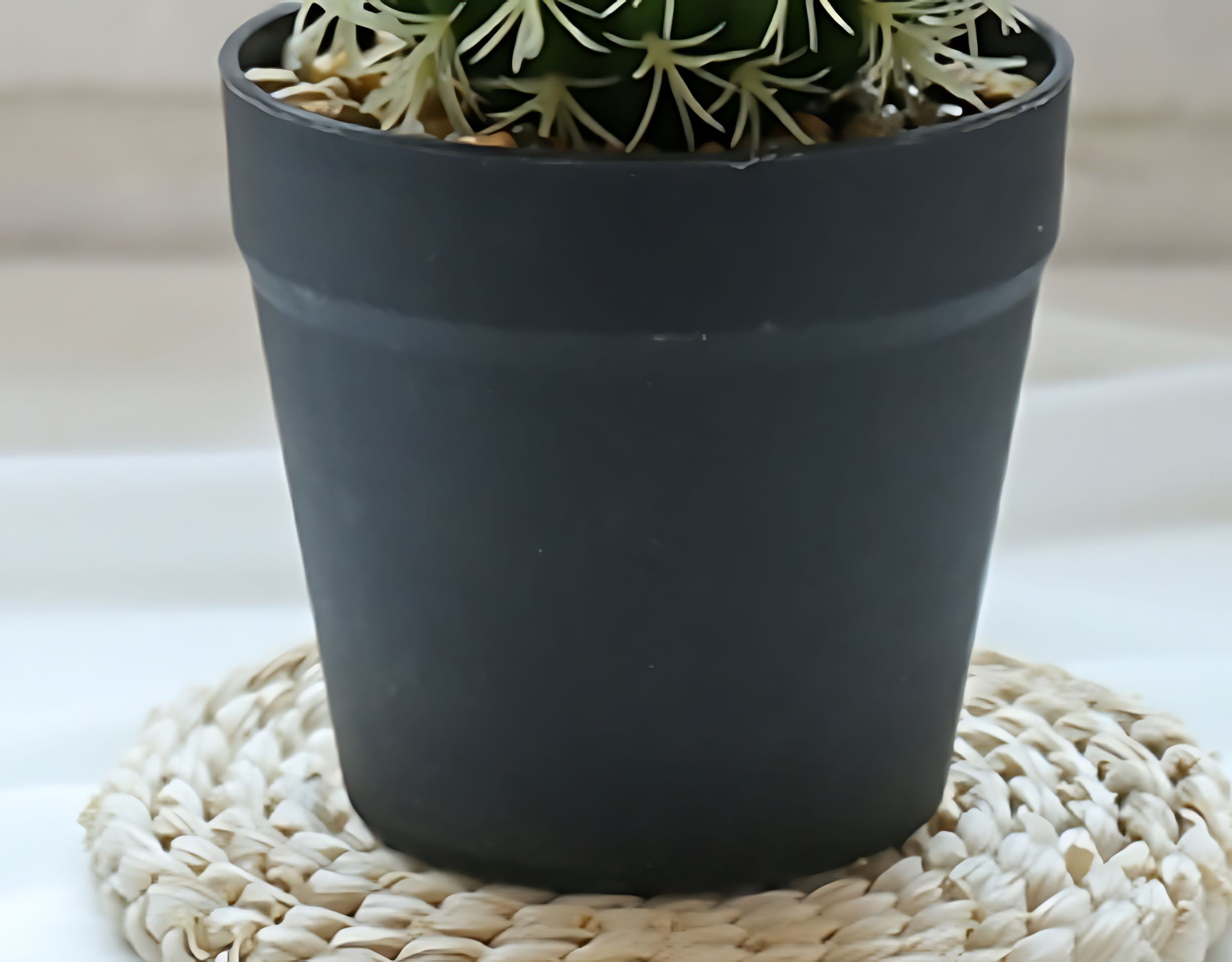 George Oliver Nordic Cactus Succulent Artificial Flower Simulation ...