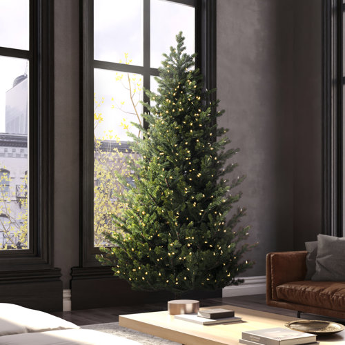 Extra Full Christmas Trees You'll Love | Wayfair