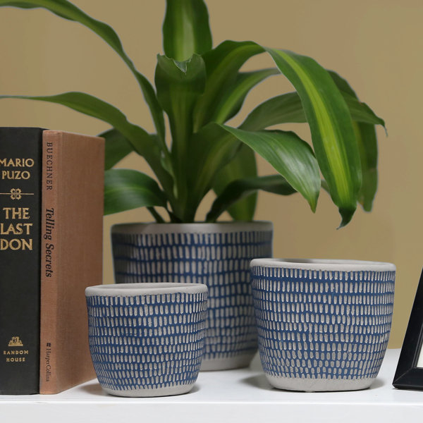 Dakota Fields Sarahi Pot Planter - Wayfair Canada