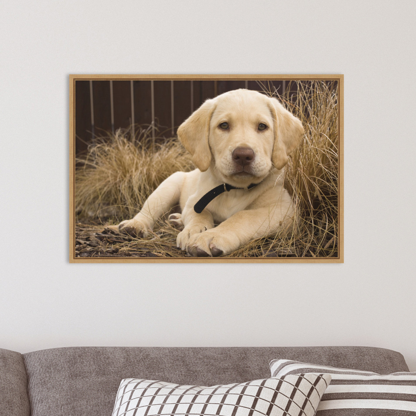 Latitude Run® Labrador Retriever Puppy by Rick A Brown Danita Delimont ...