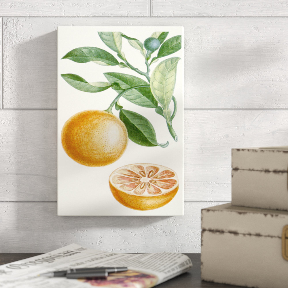 Blue Elephant Turpin Fruit II by Turpin - Painting Print | Wayfair.ie
