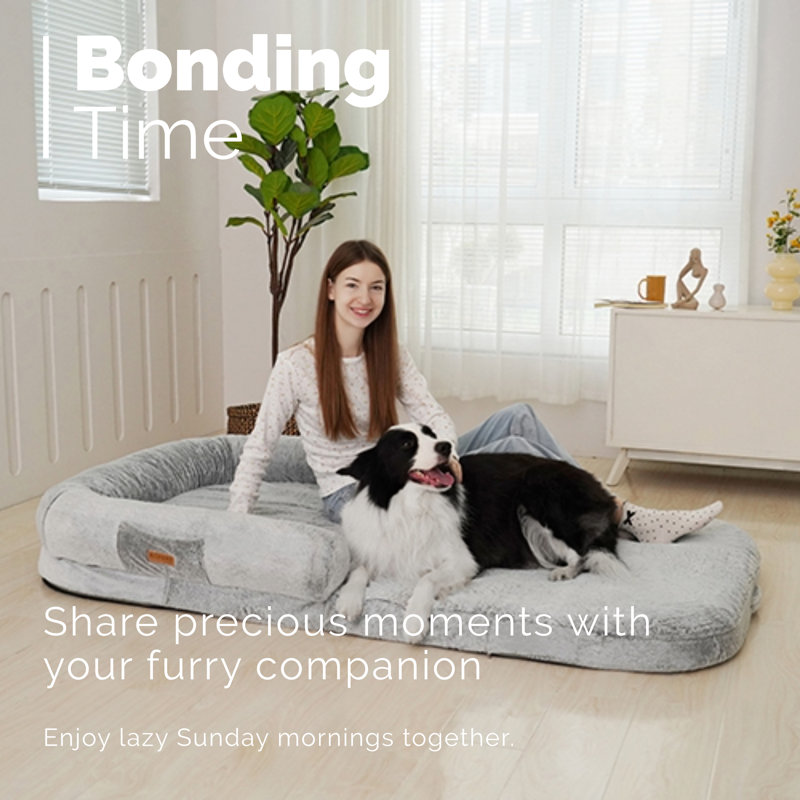 Archie & Oscar™ Kristine Foldable Dog Bolster Bed For Pets & Humans ...