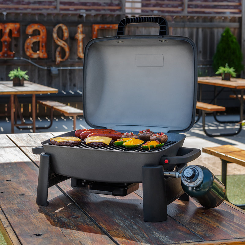 Nexgrill Single Burner Liquid Propane Gas Grill & Reviews | Wayfair