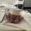 Bungalow Rose Calabrese Ceramic Sculpture & Reviews | Wayfair