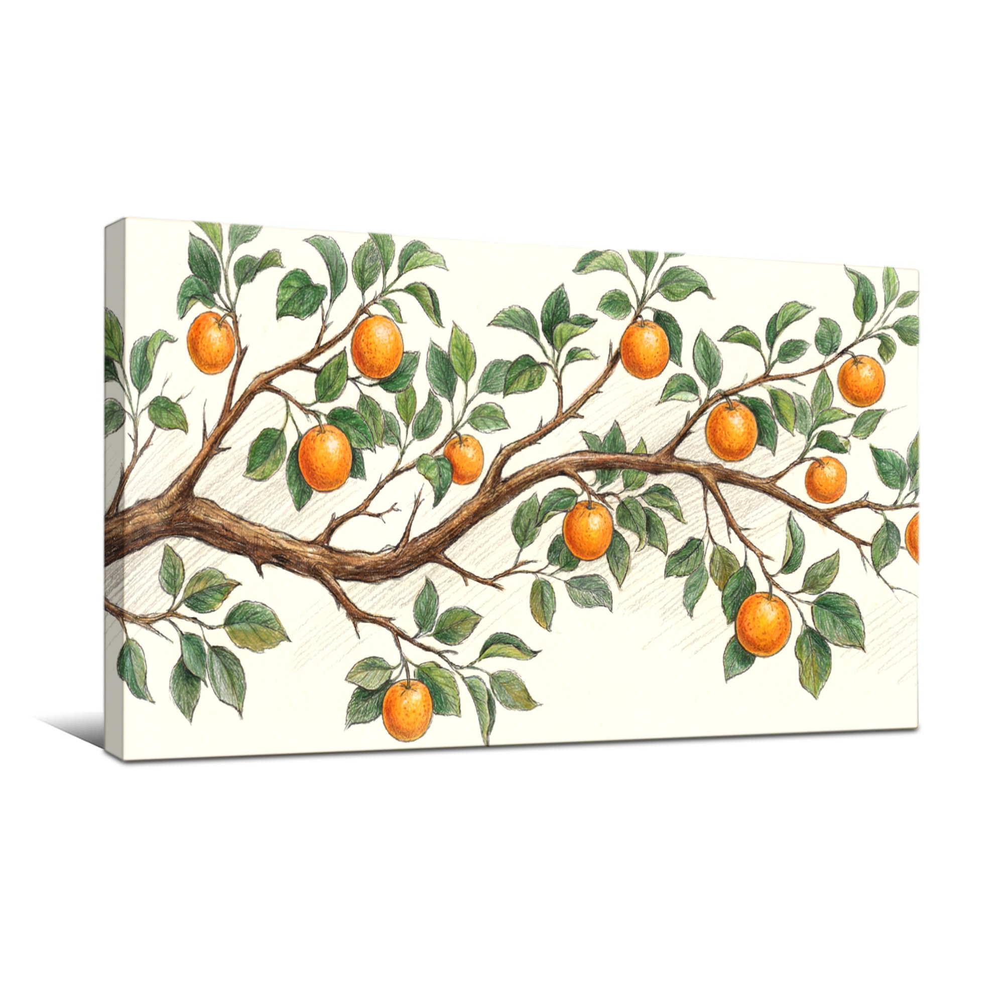 Canora Grey Plants &Flowers Orange Tree Branch With Fruits And Leaves ...