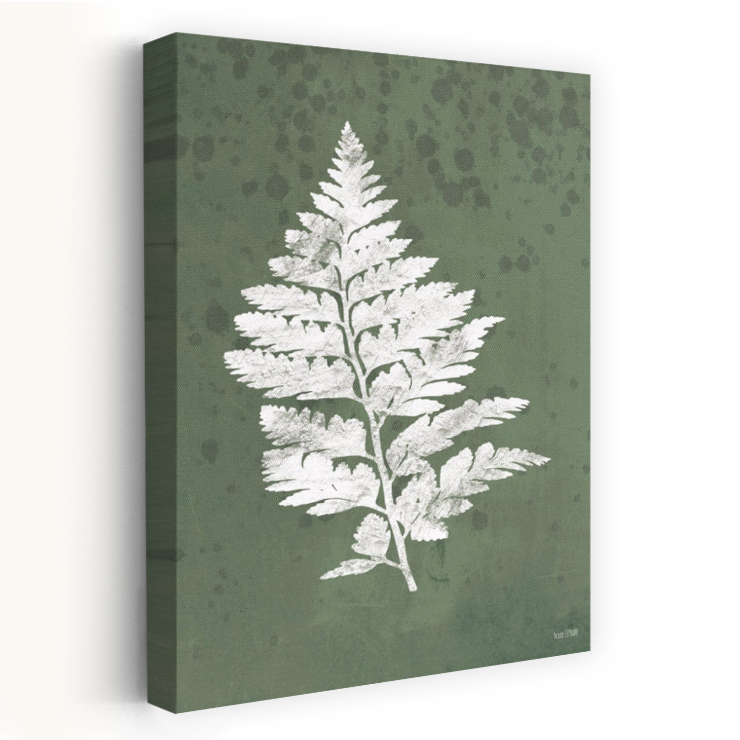 Ophelia & Co. Fern Botanical II Abstract Contemporary Fern Landscape ...