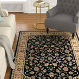 Astoria Grand Area Rugs You'll Love | Wayfair