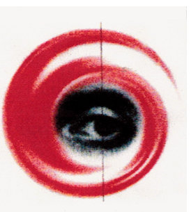 The Roving Eye | Wayfair