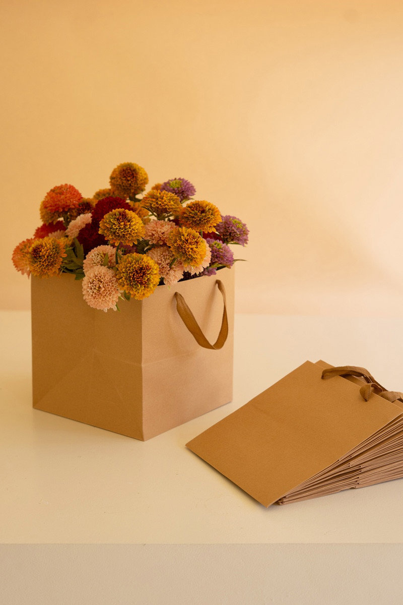 Millwood Pines Square Kraft Paper Bag With Dyed Cotton Handles | Wayfair