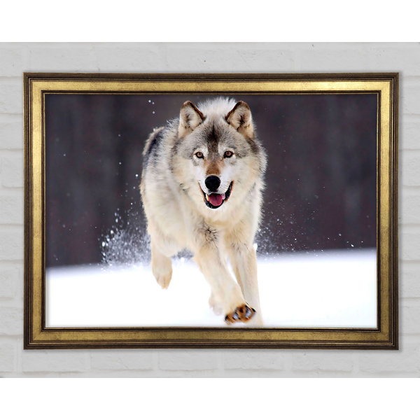 Union Rustic Gray Wolf Minnesota - Single Picture Frame Art Prints ...