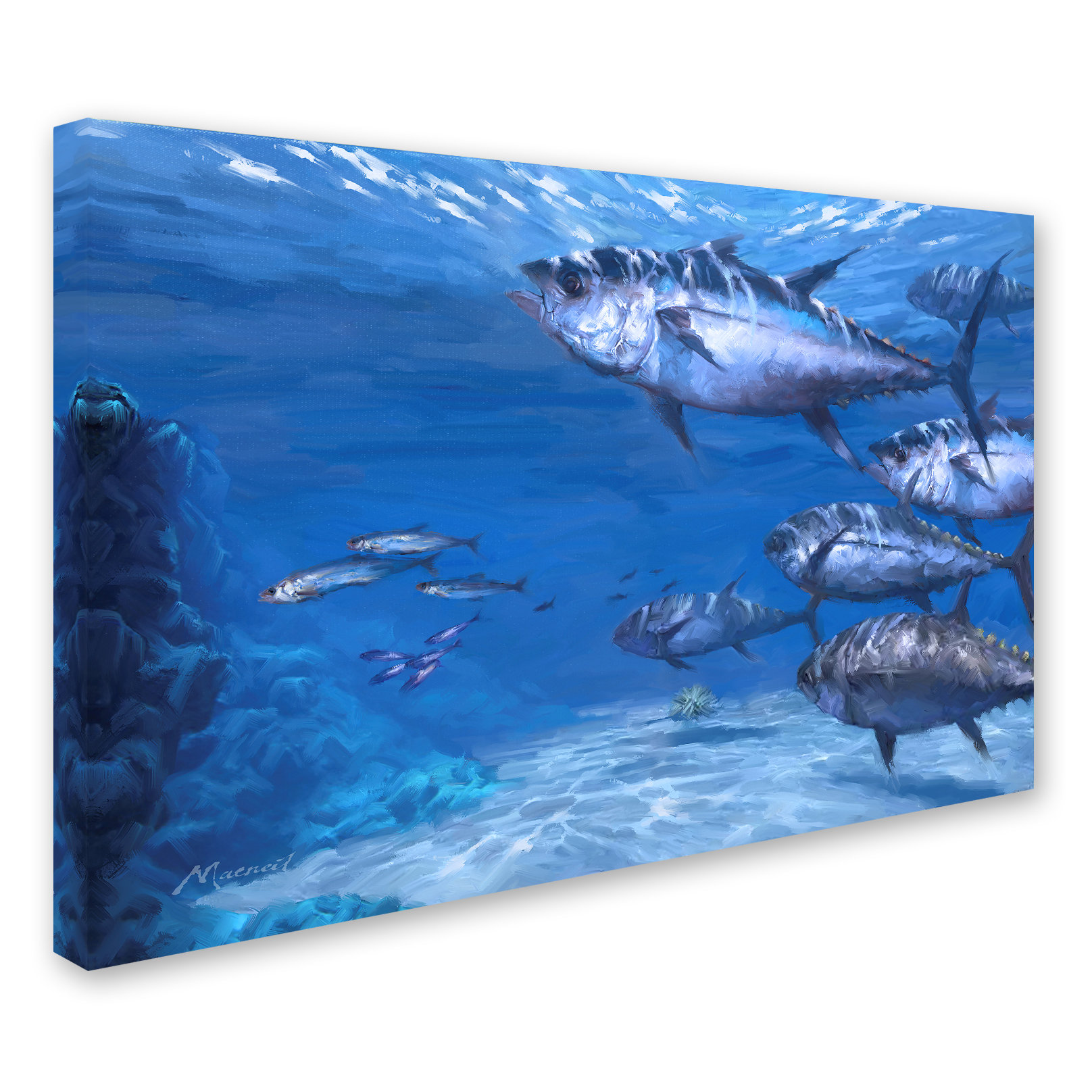 Longshore Tides 'Tuna' Print on Wrapped Canvas - Wayfair Canada