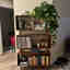 Everly Quinn Camylle Standard Bookcase & Reviews | Wayfair