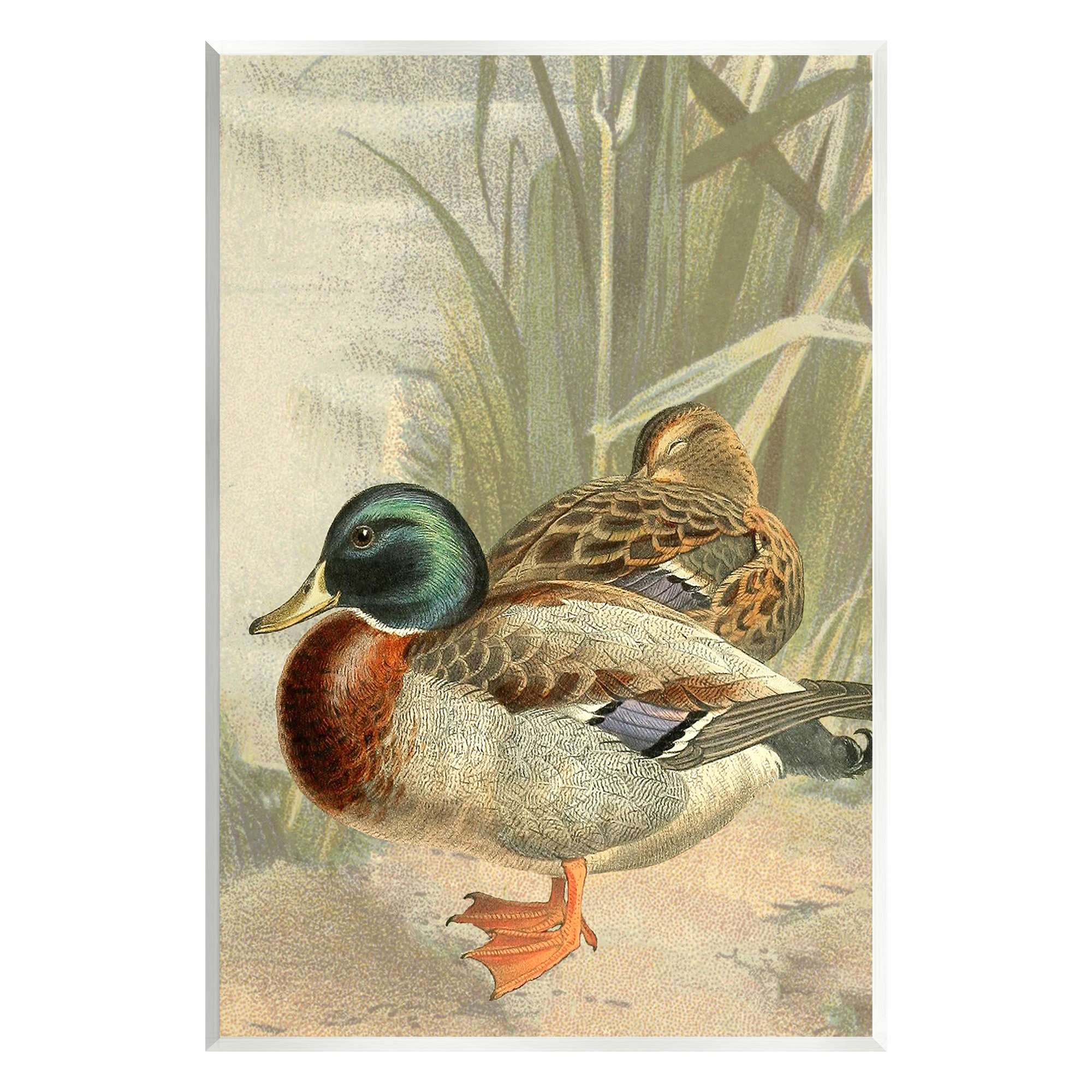 Highland Dunes Pond Ducks Relaxing Wall Plaque Art by Gail Fraser | Wayfair