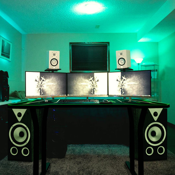 Turismo Racing 48'' Desk & Reviews | Wayfair