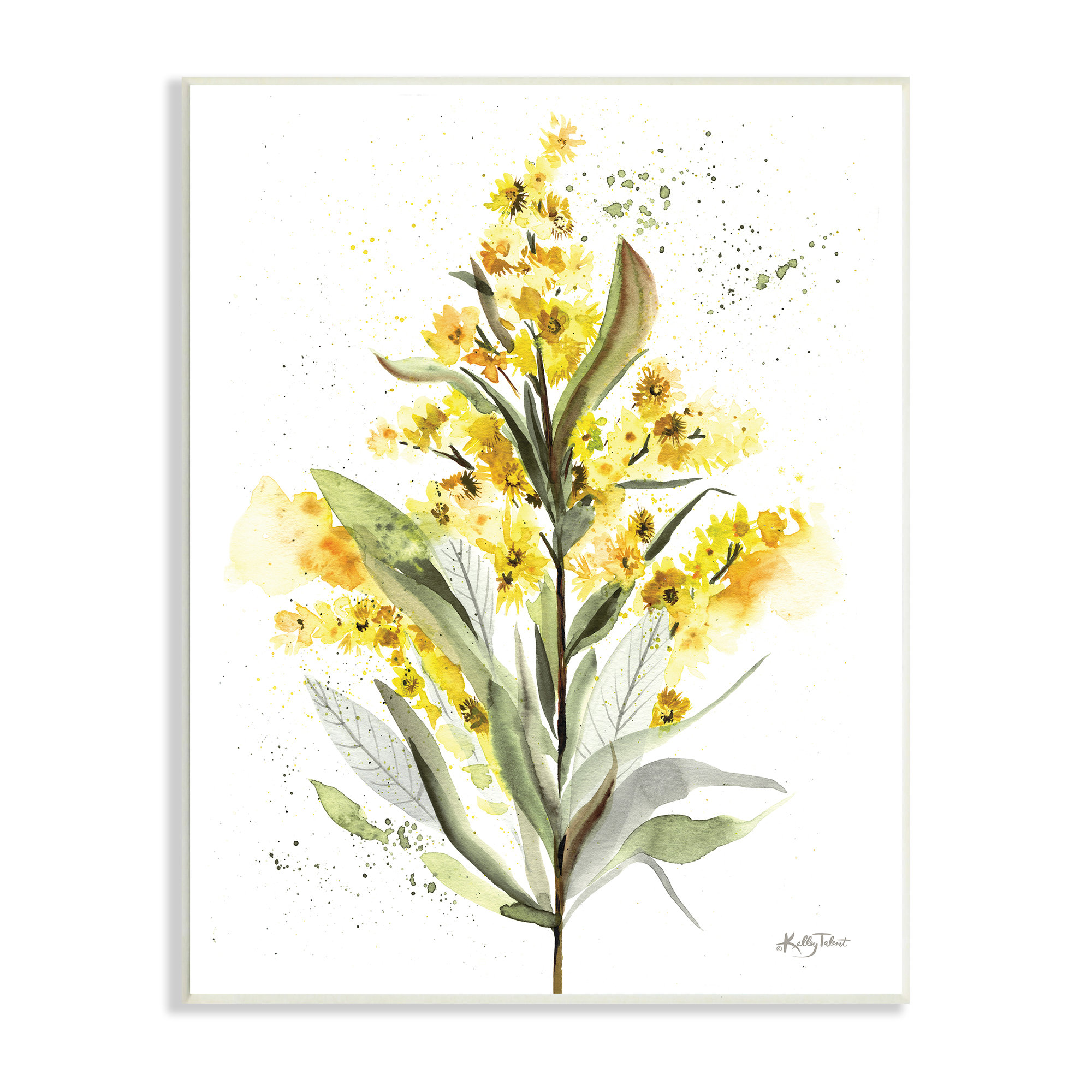 Stupell Industries Wild Daisies Leaf Sprout Flower Impressionist ...