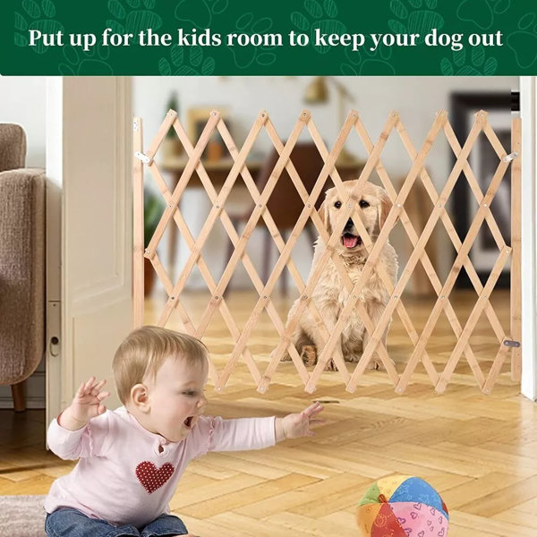 Tucker Murphy Pet™ Wooden Freestanding Foldable Pet Gate Isolation ...