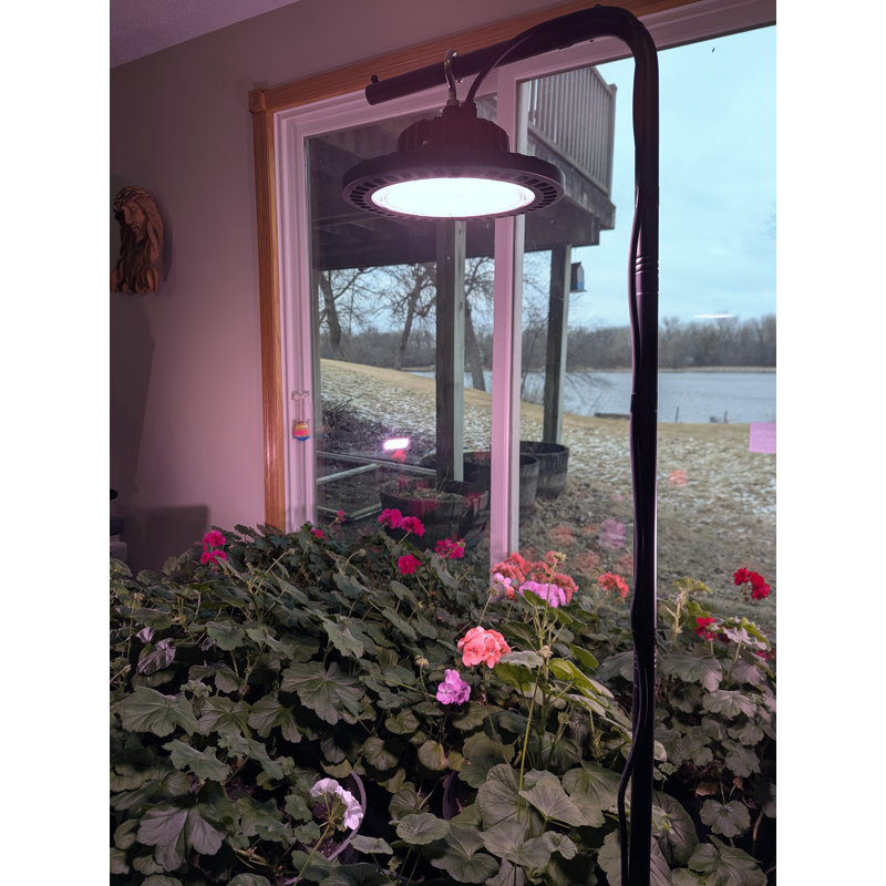 Miracle LED LED 5-Gallon Growing Combo with 100W Grow LED Light & 5ft ...