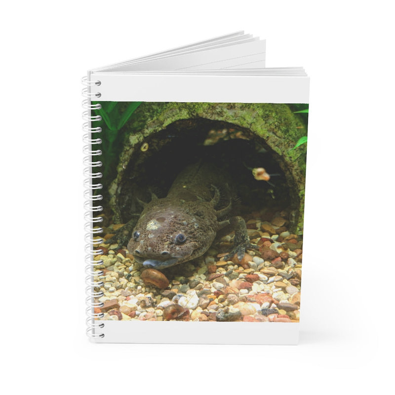 Marick Booster Axoltl Spiral Notebook | Wayfair