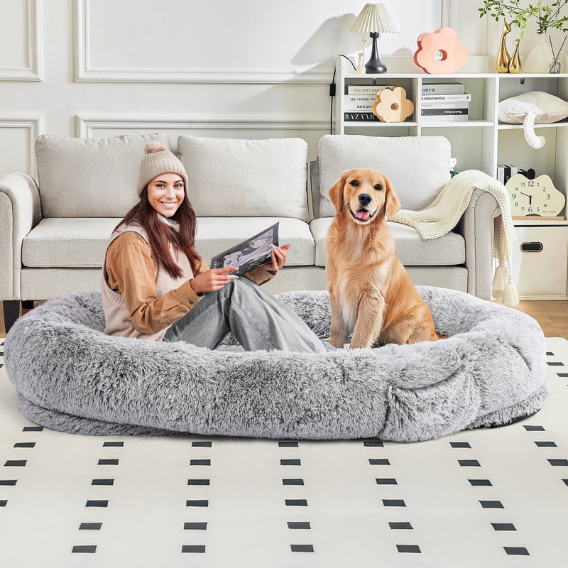 Archie & Oscar™ Marston Human Dog Bed, 72"×48"×10" Human Dog Bed With ...