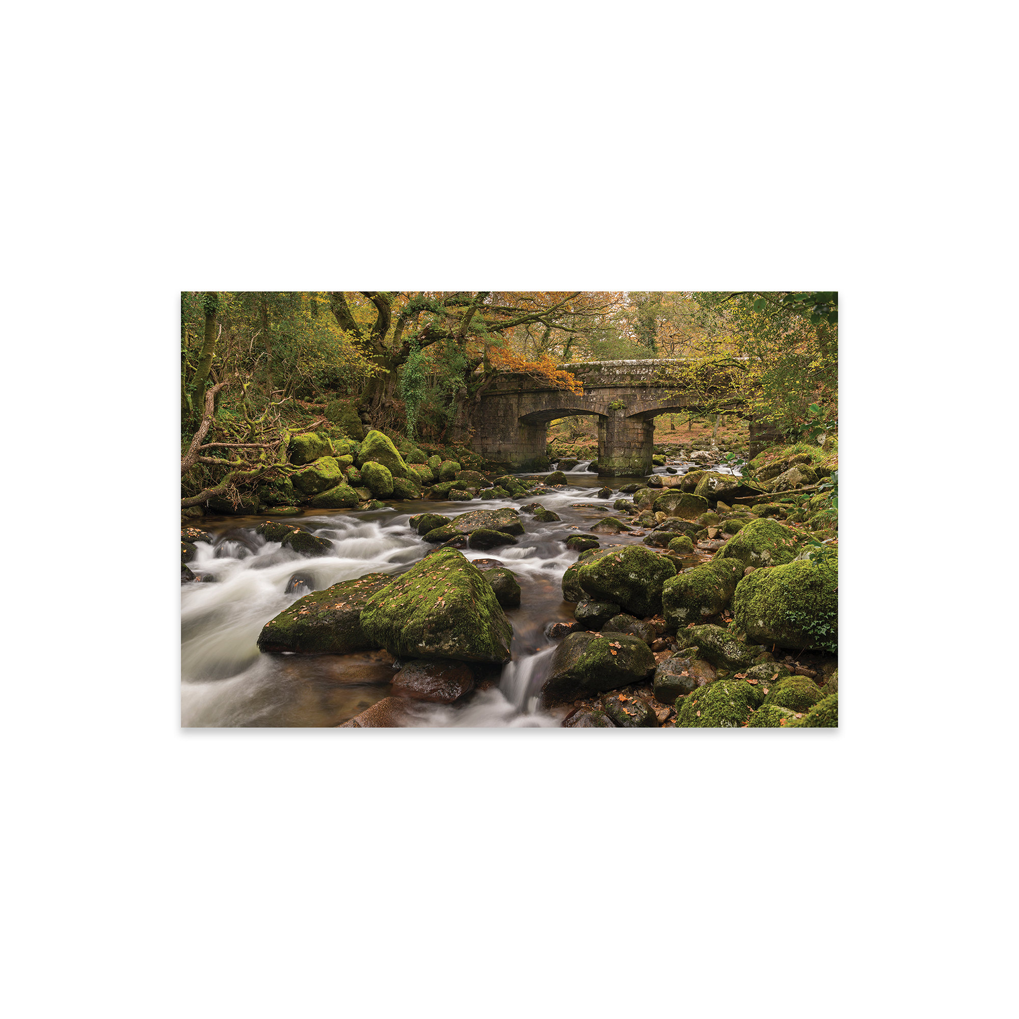 Millwood Pines Arjav Woodland Bridge On Plastic/Acrylic by Adam Burton ...