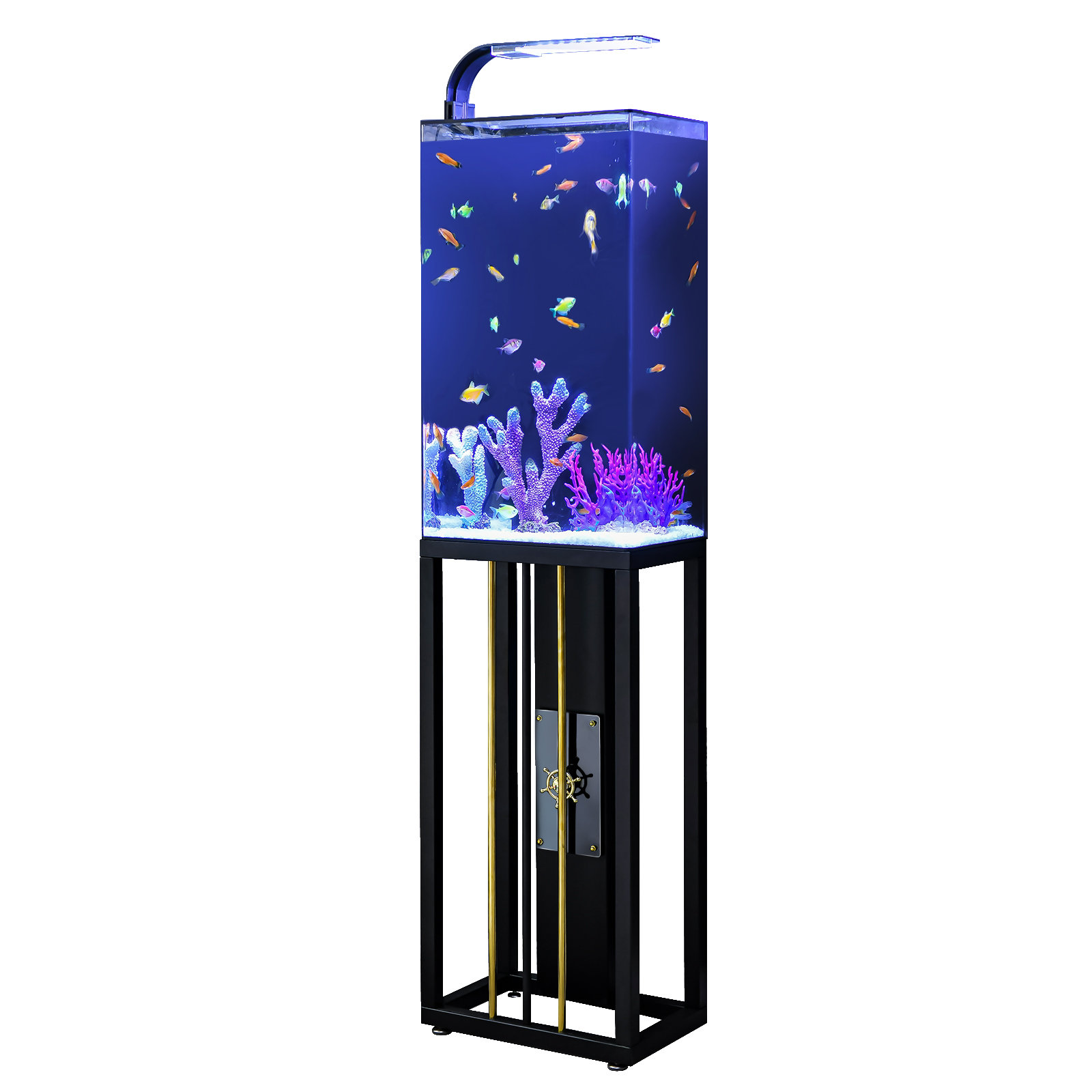Tucker Murphy Pet™ Chardarius 12 Gallons Rectangle Aquarium Fish Tank ...
