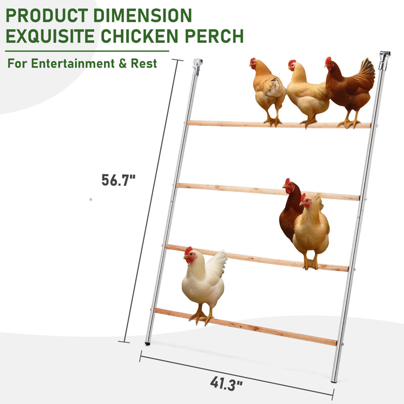 Tucker Murphy Pet™ Chicken Coop Roosting Perch For Backyard Poultry ...