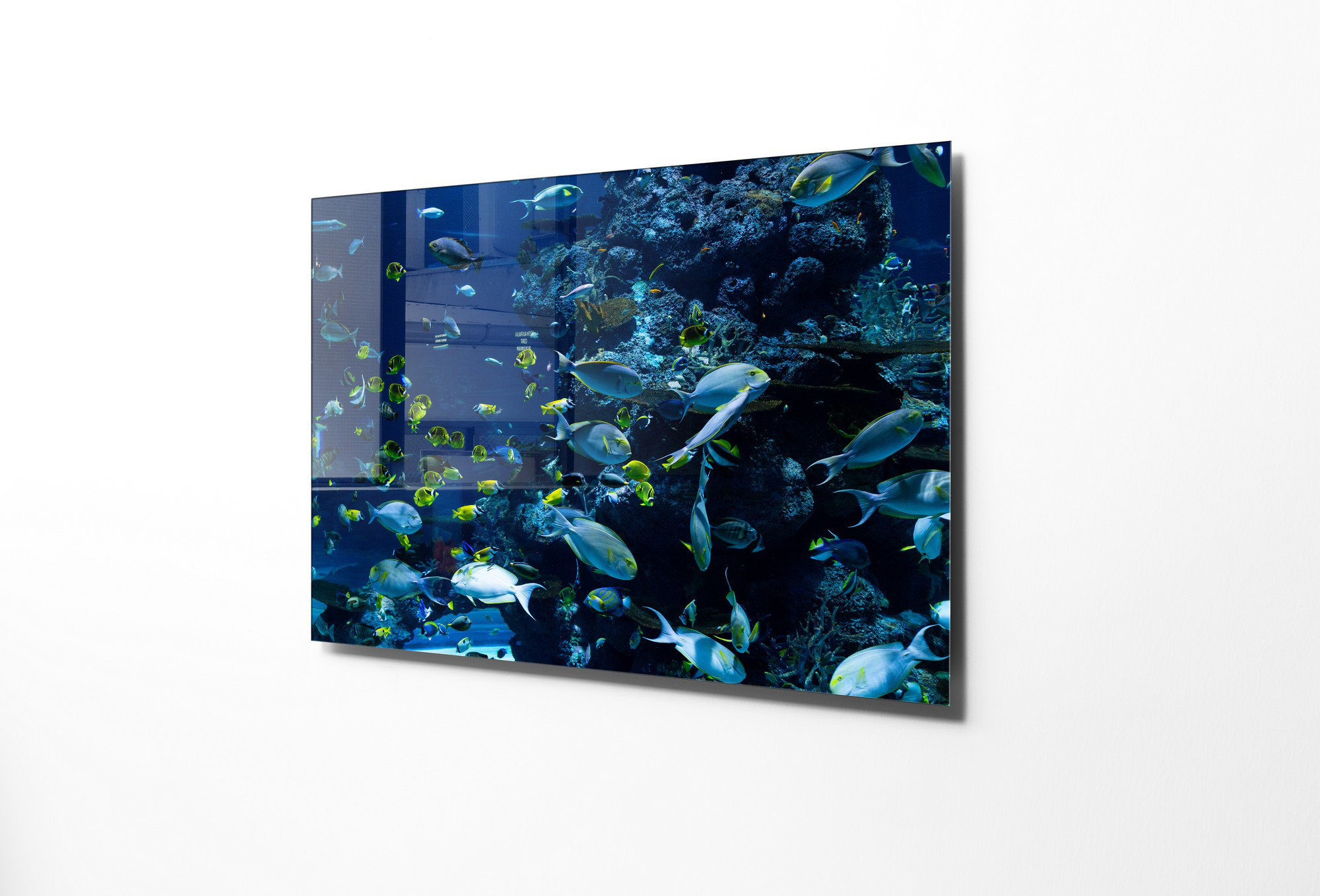 Ivy Bronx Glassen 2 | Wayfair