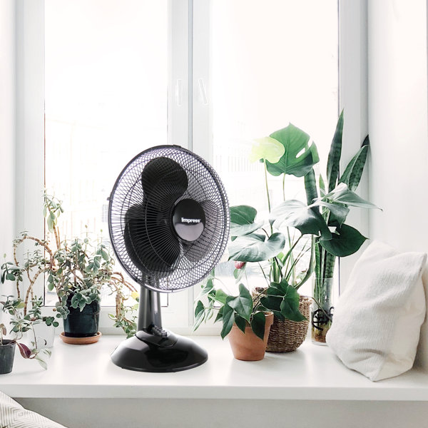 Impress 12in Oscillating Table Fan & Reviews | Wayfair