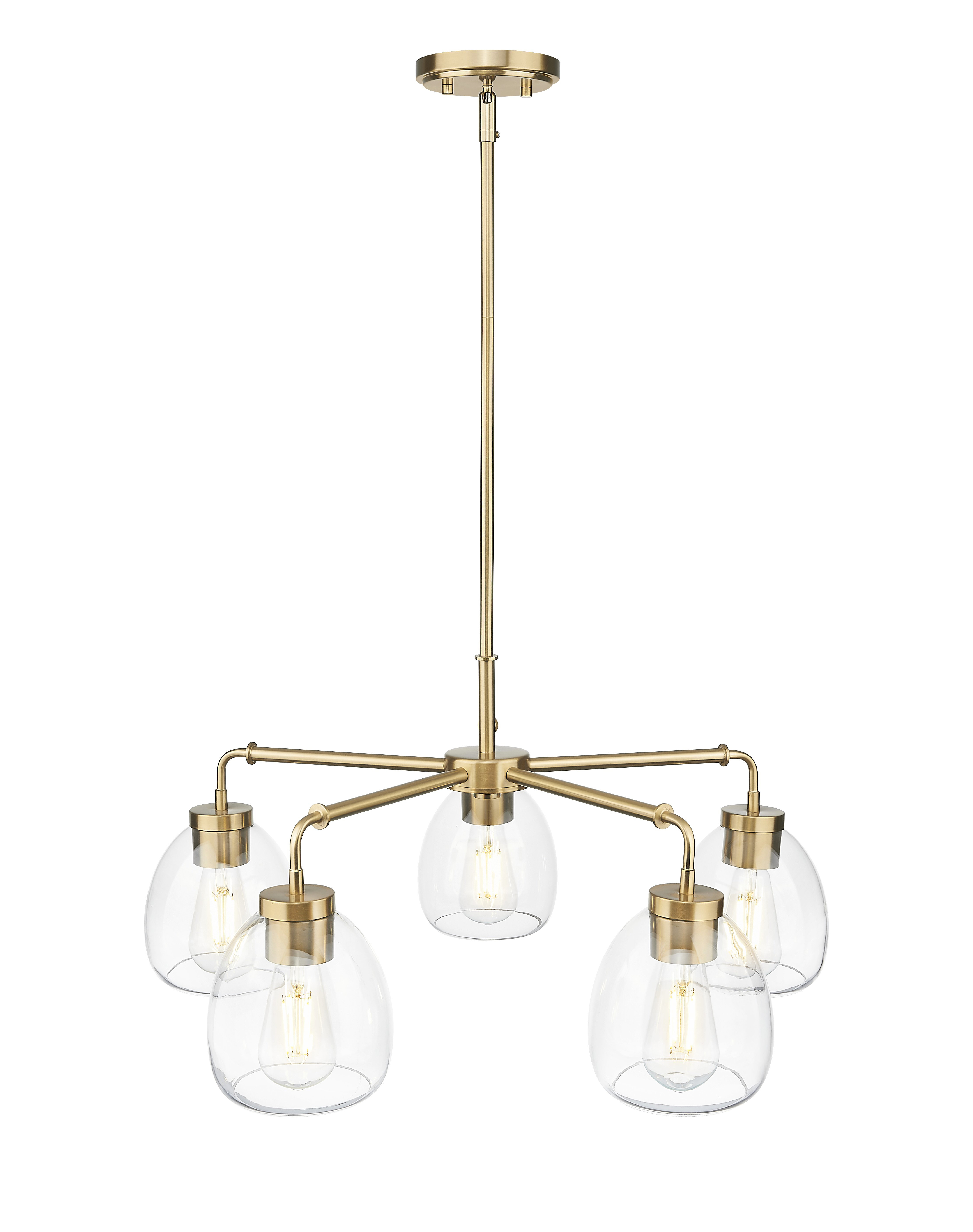 Latitude Run® Dawes 27 in. 5-Light Chandelier With Clear Glass Globes ...