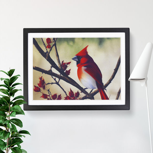 ClassicLiving Watercolour Cardinal Bird Vol.5 - Single Picture Frame ...