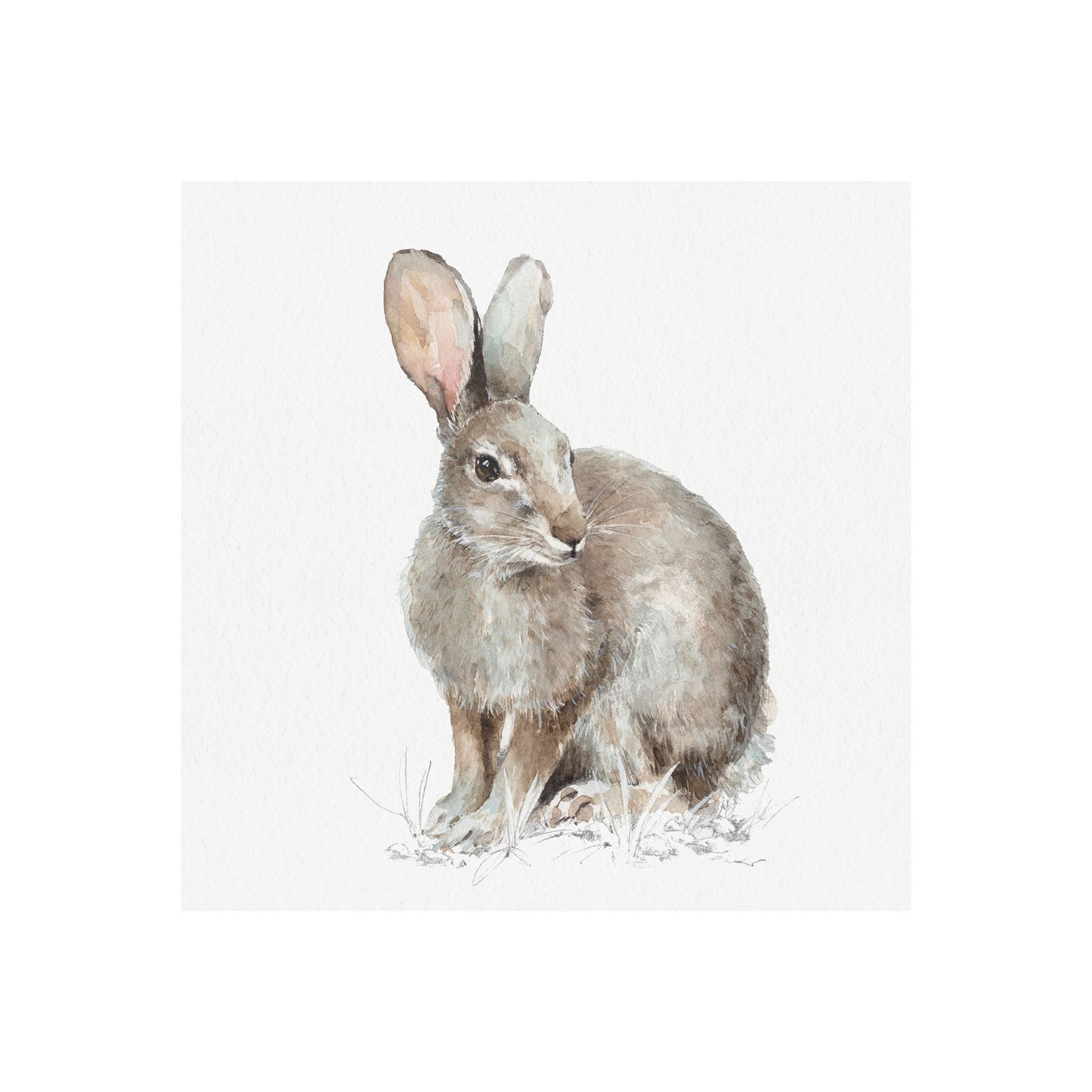 Rosalind Wheeler Forest Friends VIII (Hare) - Wrapped Canvas Print ...