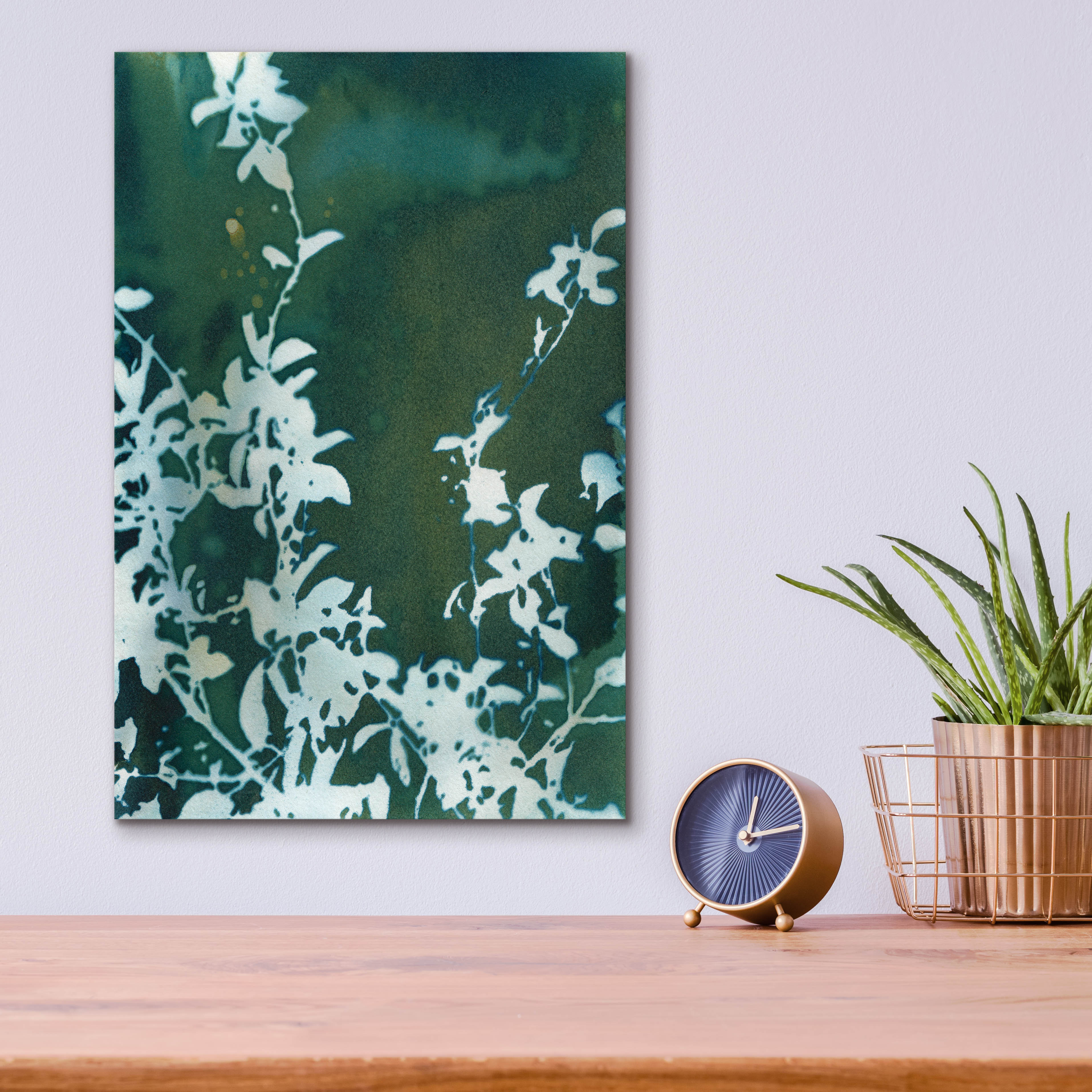 Winston Porter Dark Garden' by Krista Mccurdy, Acrylic Glass Wall Art ...