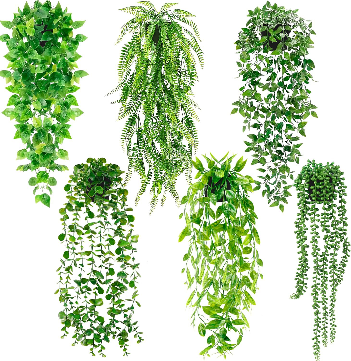 Dakota Fields Fern Plant | Wayfair
