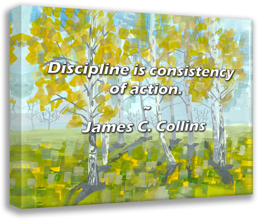 Red Barrel Studio® James C. Collins Quote: Discipline is consistency of ...