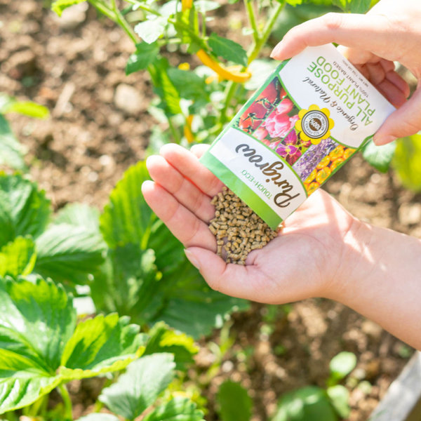 Touch Of ECO Purigrow & Natural All Purpose Plant Food - 16 Individual ...