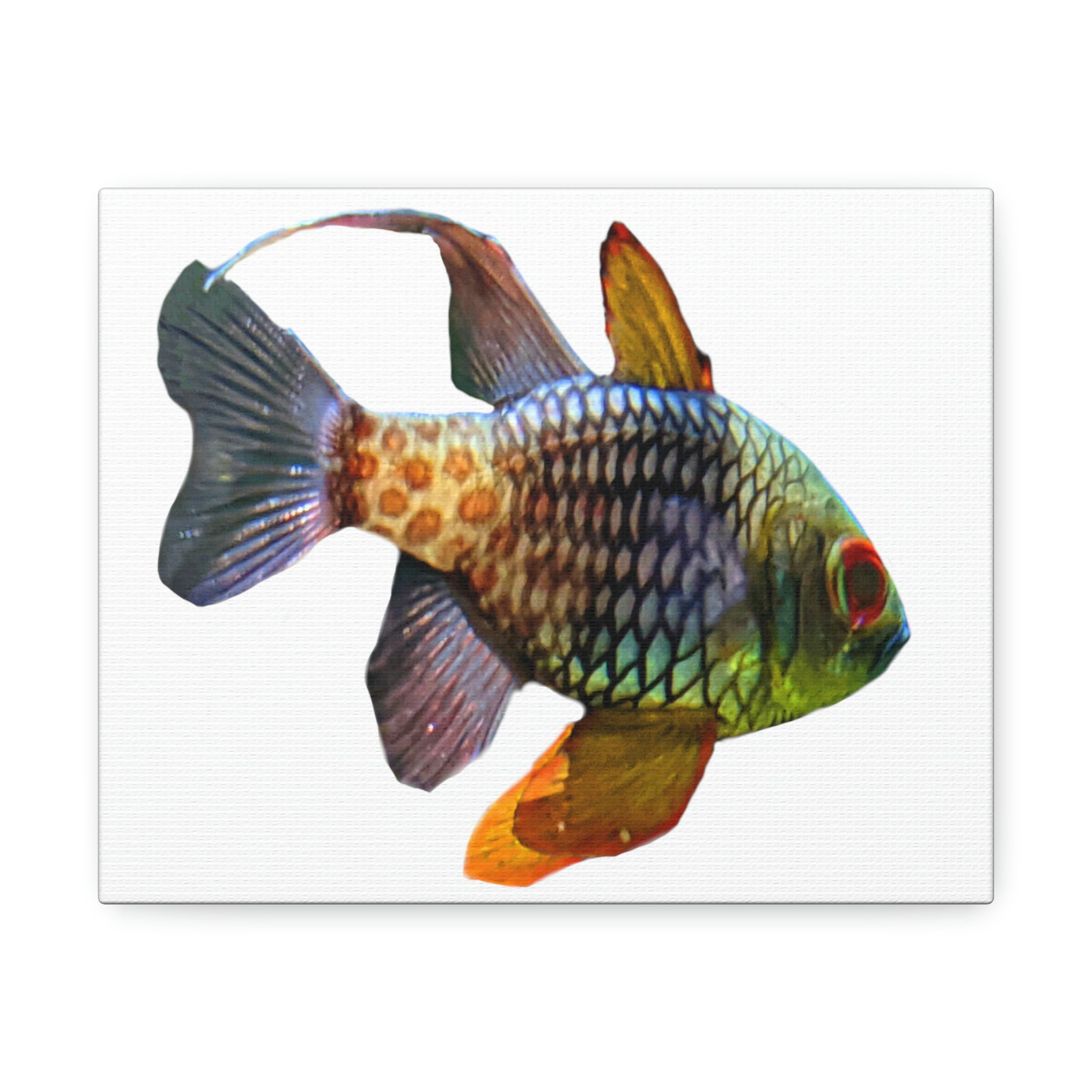 Dovecove Colorful Fish - Unframed Illustration | Wayfair