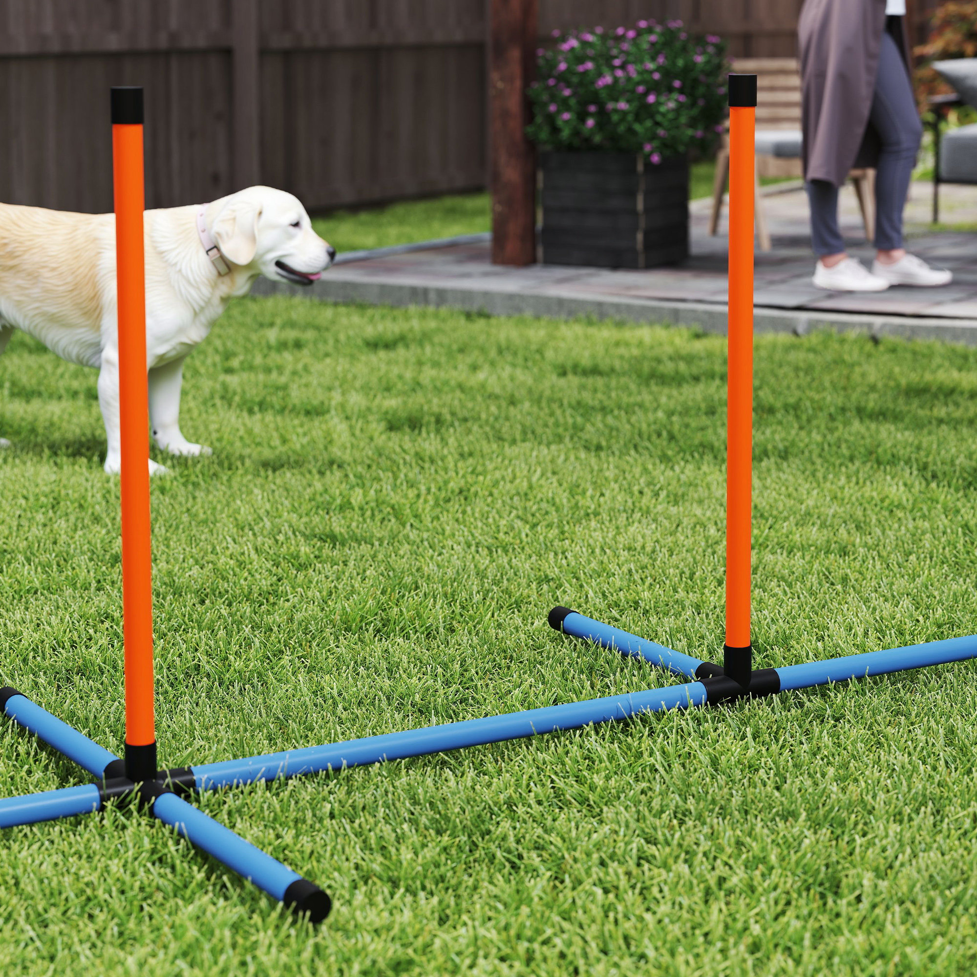 Pawhut Dog Agility Training Equipment Set Outdoor, 10 PCs Complete Dog ...