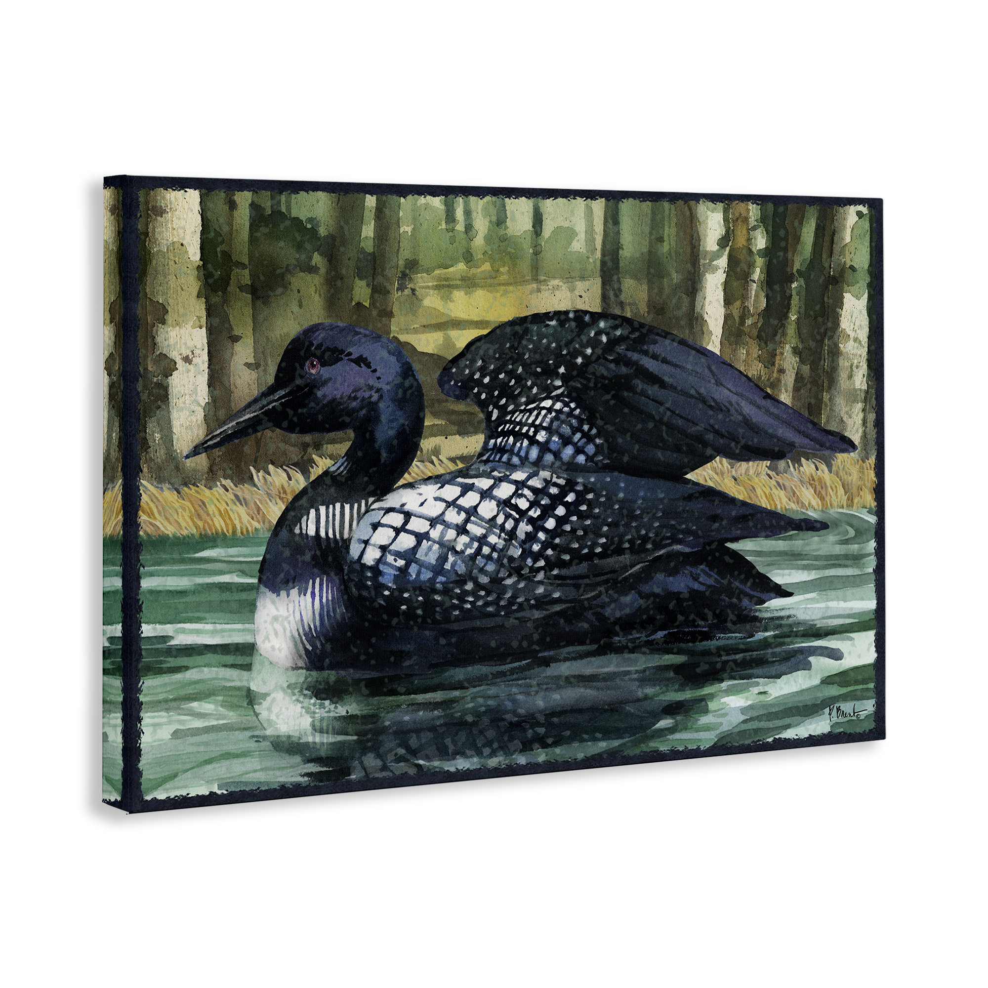 Ophelia & Co. Swimming Woodland Loon Canvas Wall Art by Paul Brent ...