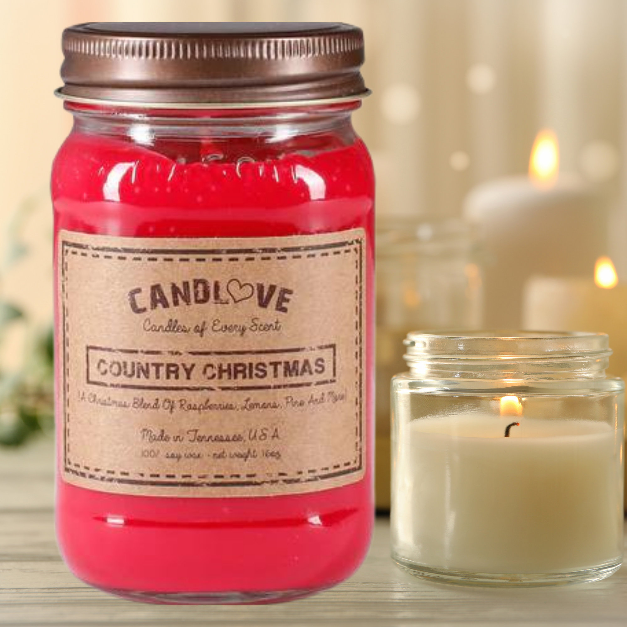 FizzIt Country Christmas Scented Jar Candle with Glass Holder | Wayfair