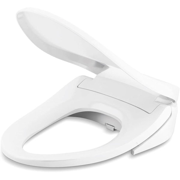 BEACHES GO GREEN, INC. Elongated Warm Water Bidet Toilet Seat, Electric ...