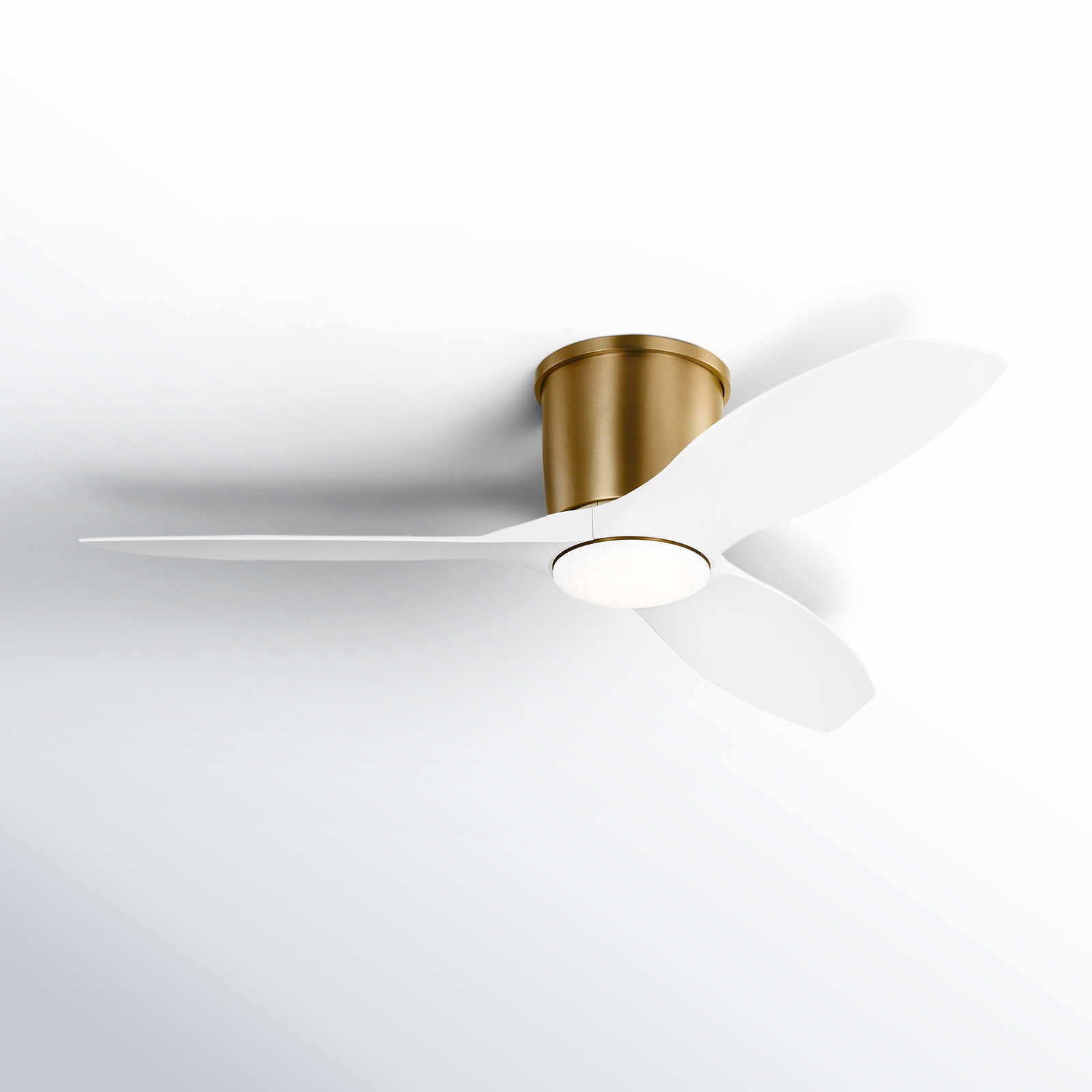 Joss & Main Aisling Ceiling Fan with LED Lights & Reviews | Joss & Main