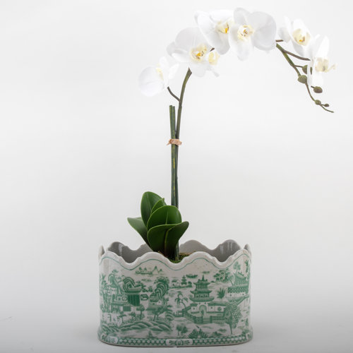 Danny's Fine Porcelain Handmade Ceramic Planter | Perigold