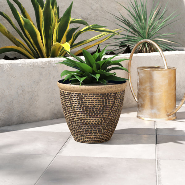 Trent Austin Hamish Plant Pot & Reviews | Wayfair.co.uk